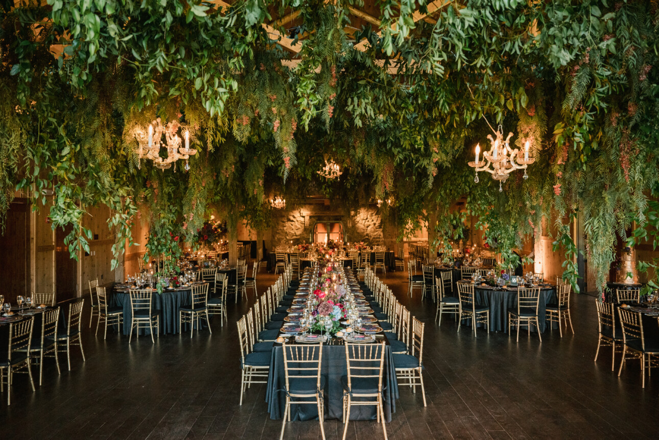 Abundant and Transformative, Lush, Dripping Floral at Devil's Thumb ...